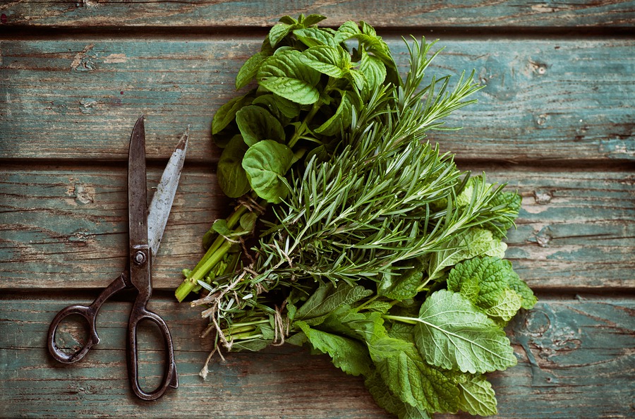 Learn How To Cook With Herbs August 16 Joe Hayden Real Estate Team Your Louisville Real